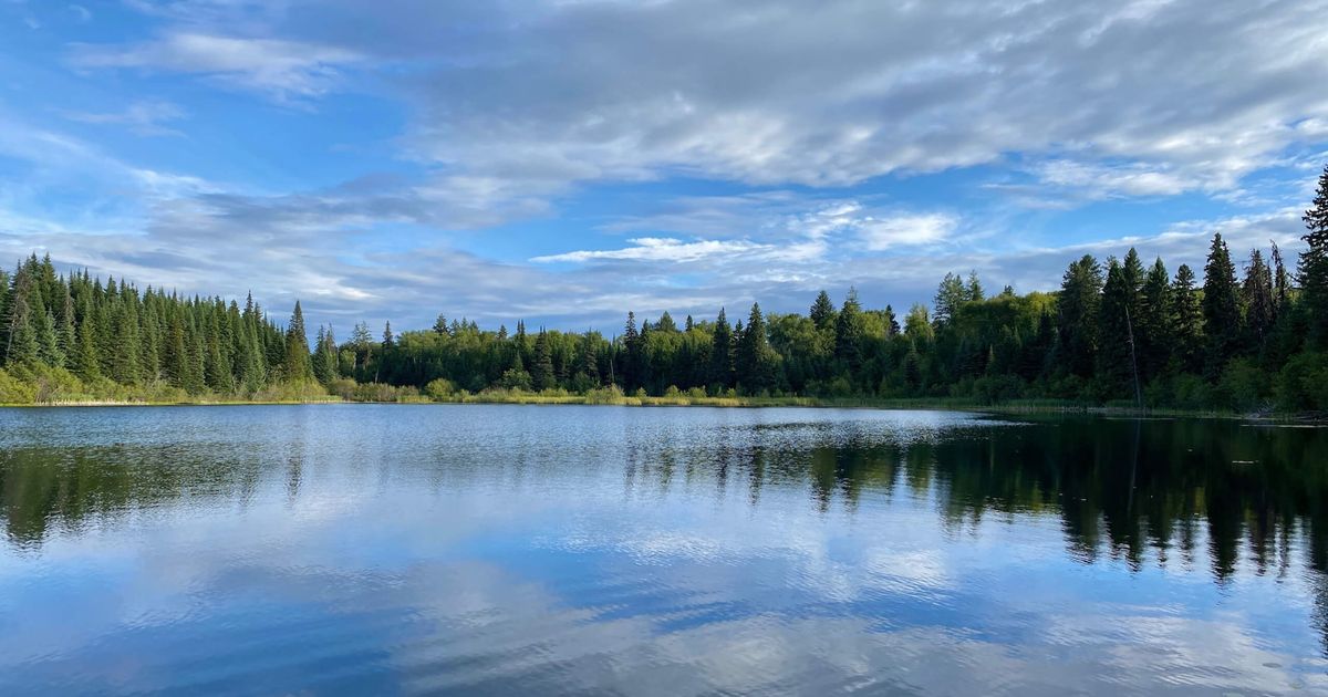 Greenway Trail to Shane Lake Hike | Forest for the Worlds