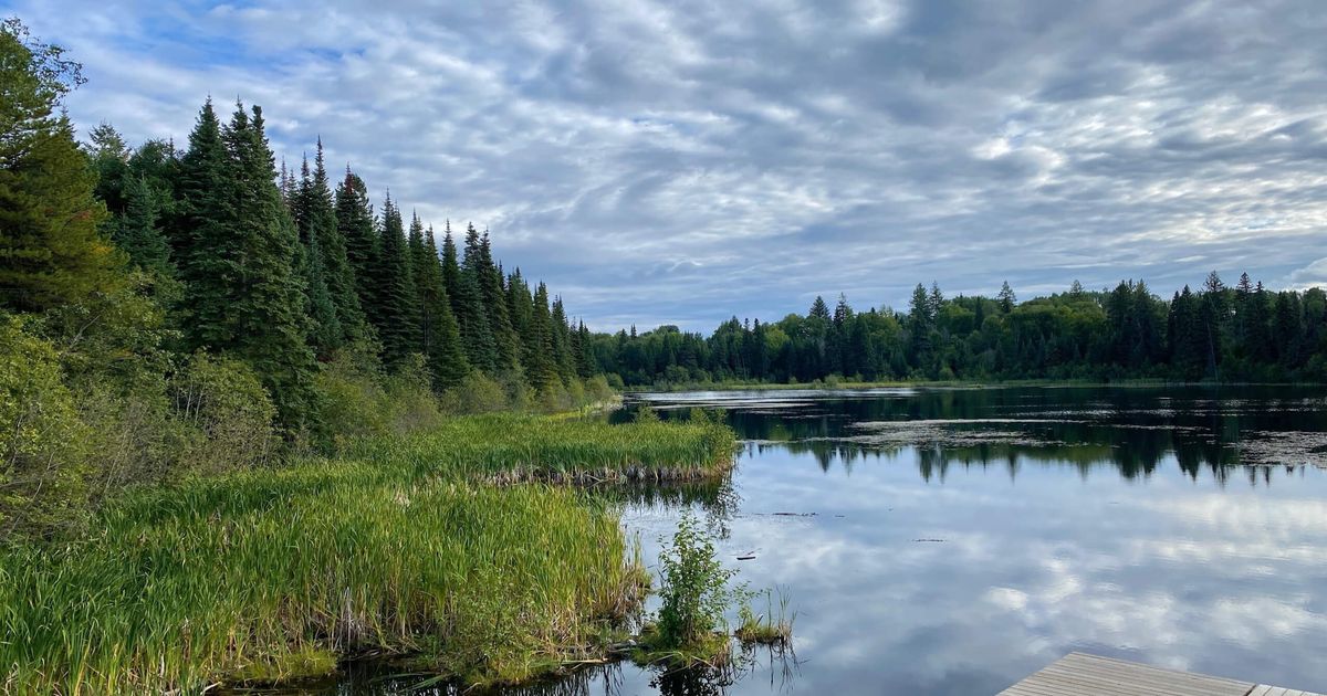 Shane Lake Loop | Forest for the World, Prince George