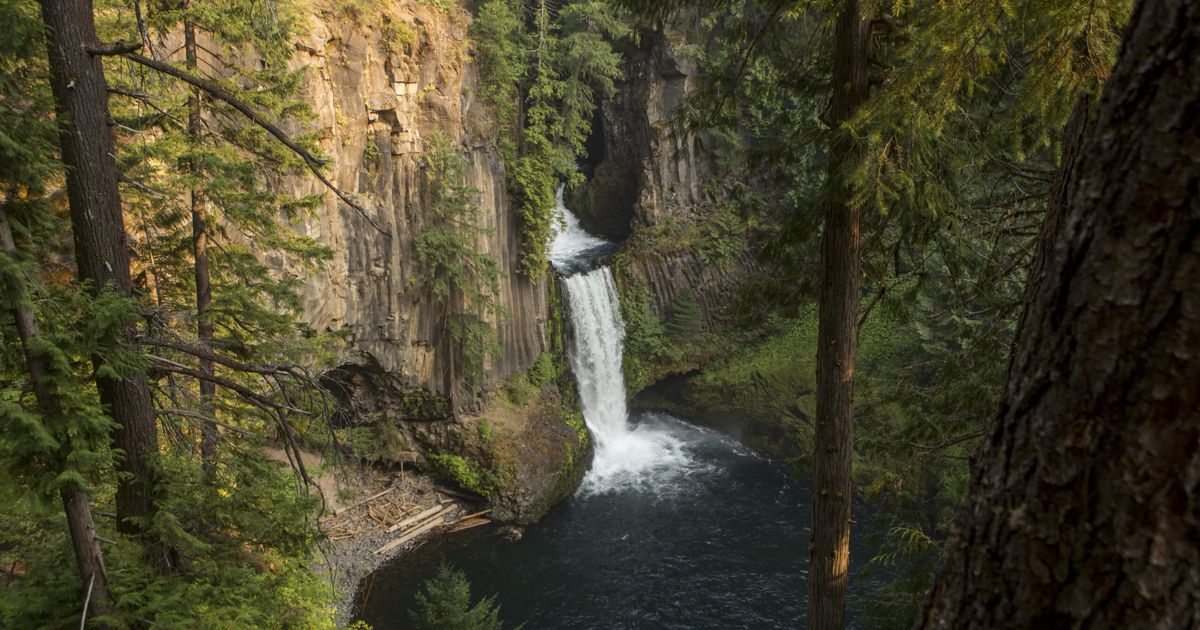 Toketee Falls Hike | Visit a Gorgeous Oregon Waterfall