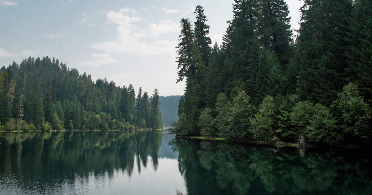 Toketee Lake Trail | Lovely Waterside Views in Oregon