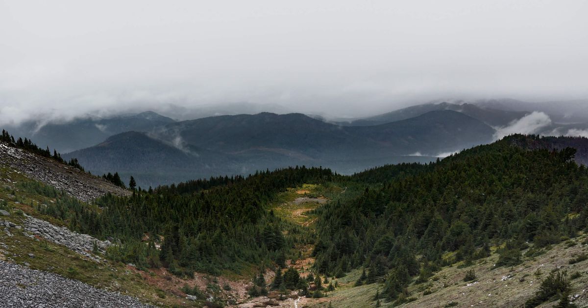 The McNeil Point Trail - A Tough Hike in Mount Hood NF