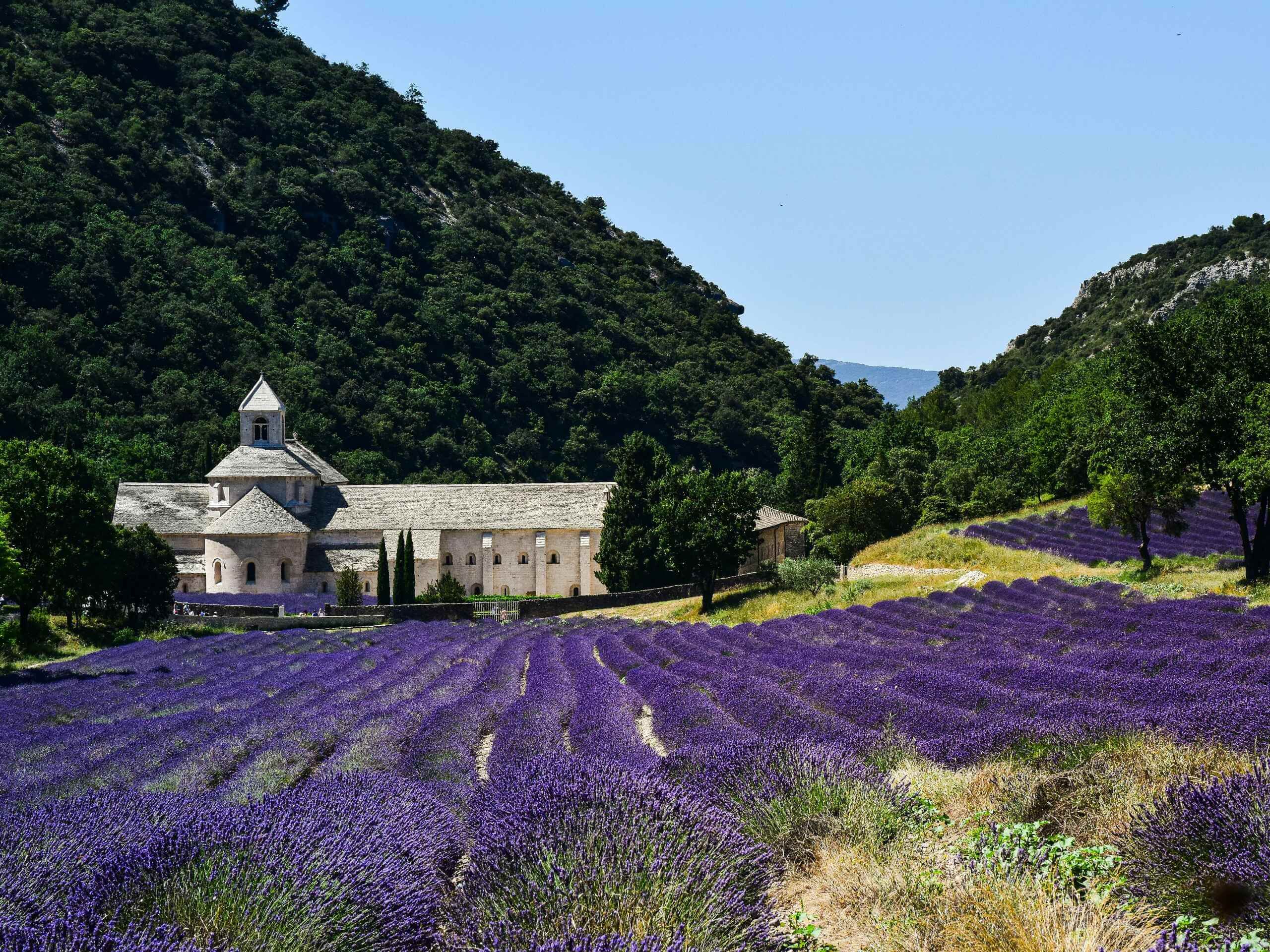 France Cycling Tours: Best Regions, Routes and Trips for 2026