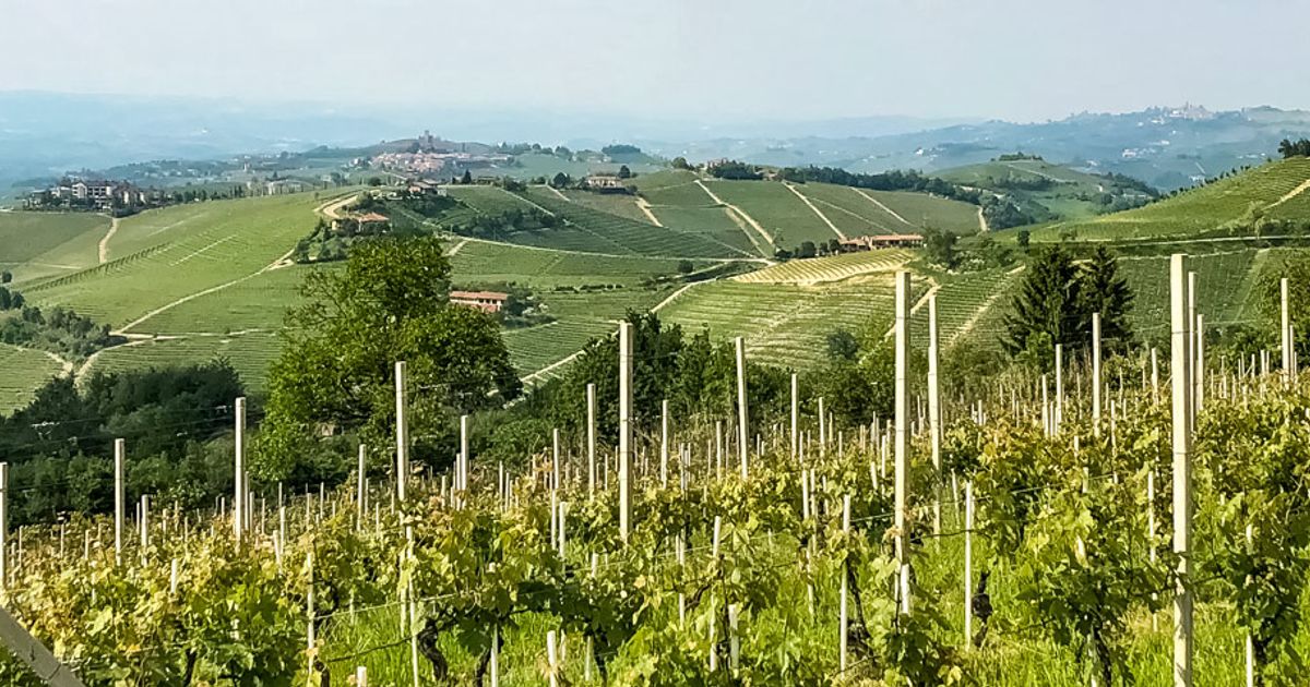 Self-guided Piedmont Barolo Hills & Bike Tour (Italy)