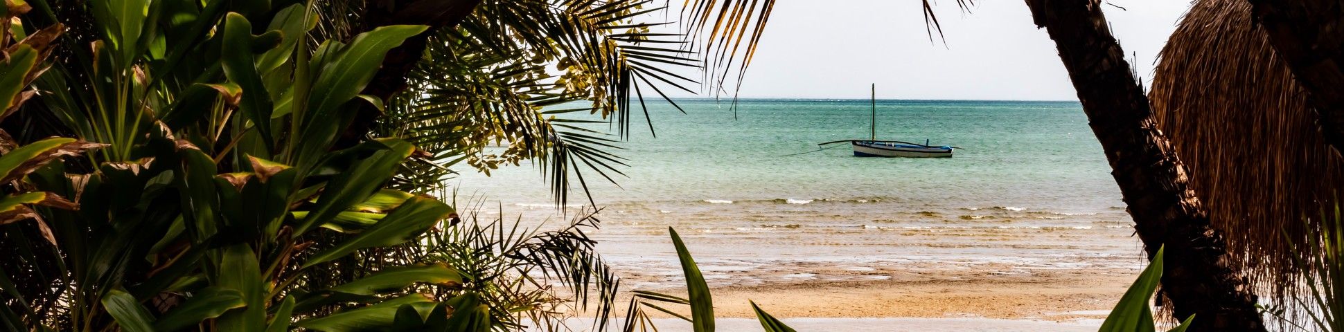 Explore the Beauty of Southeast Africa on Mozambique Tours | 10Adventures