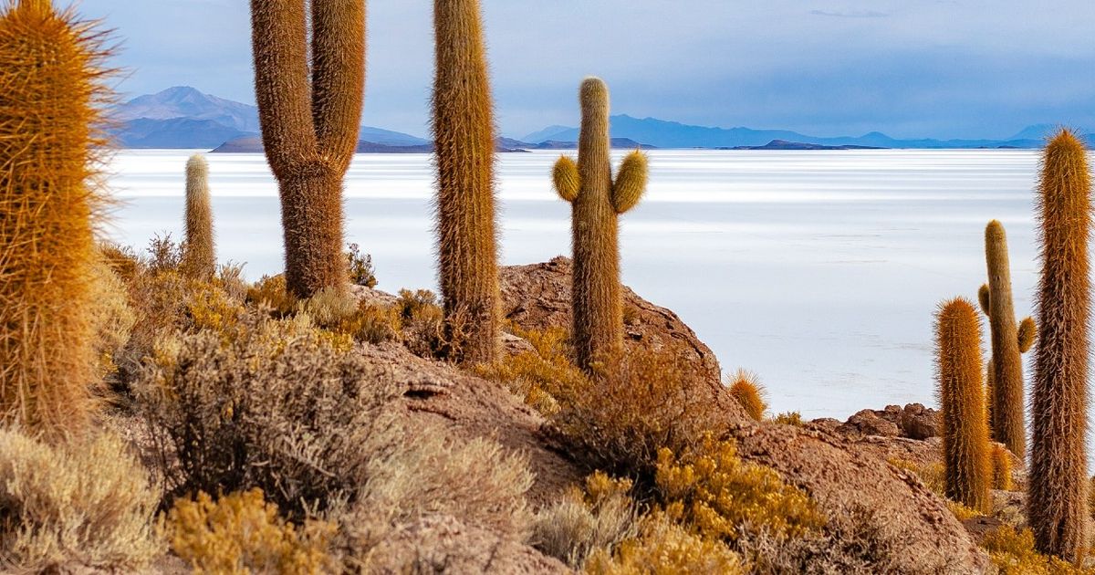 Guided Adventure tour in Bolivia