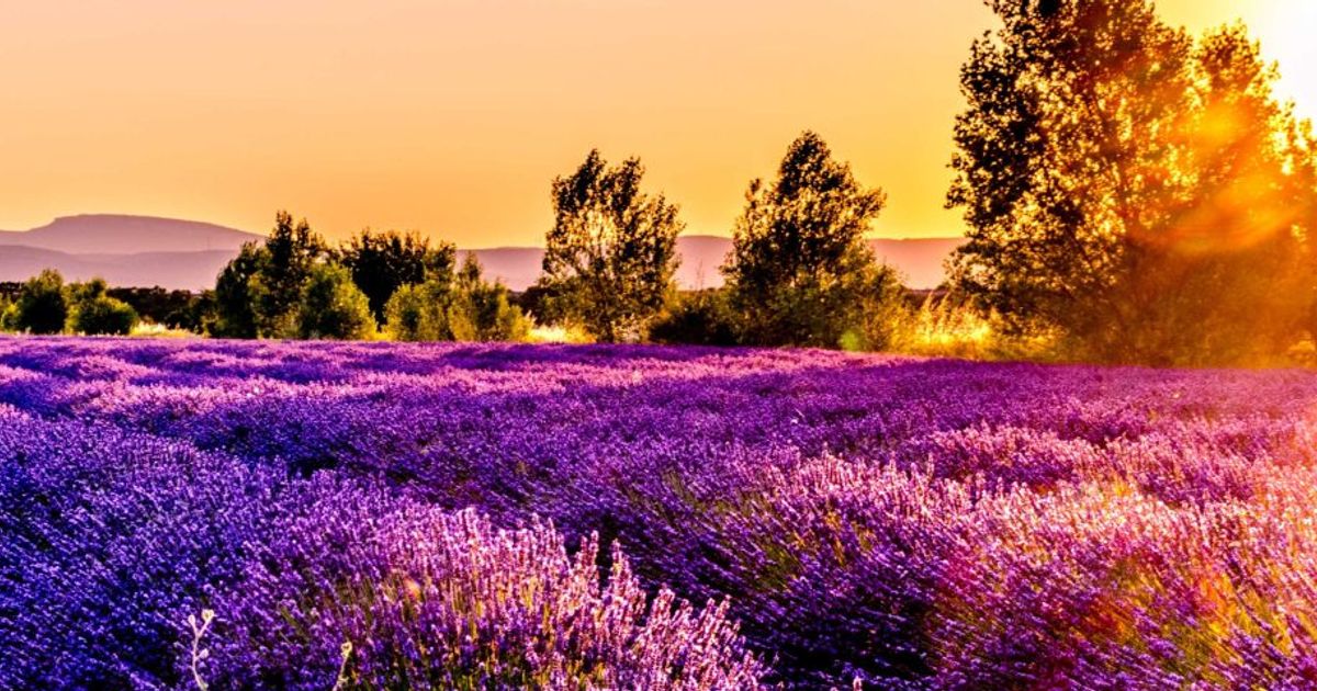 Adventure Tours in Southern France - 10Adventures