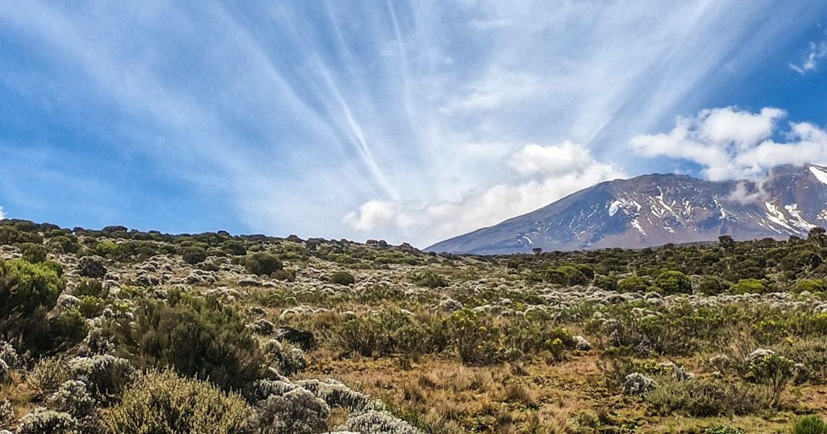 Experience the Beauty of Tanzania on a Kilimanjaro Tour