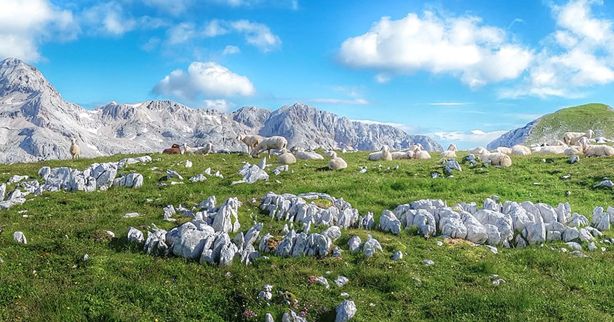 Slovenia Guided Tours in 2026 | Explore the Julian Alps
