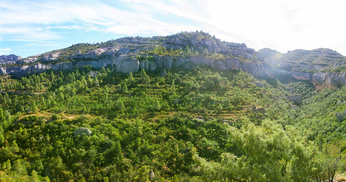 Guided Rock Climbing Tour in Catalonia | Spain | 10Adventures