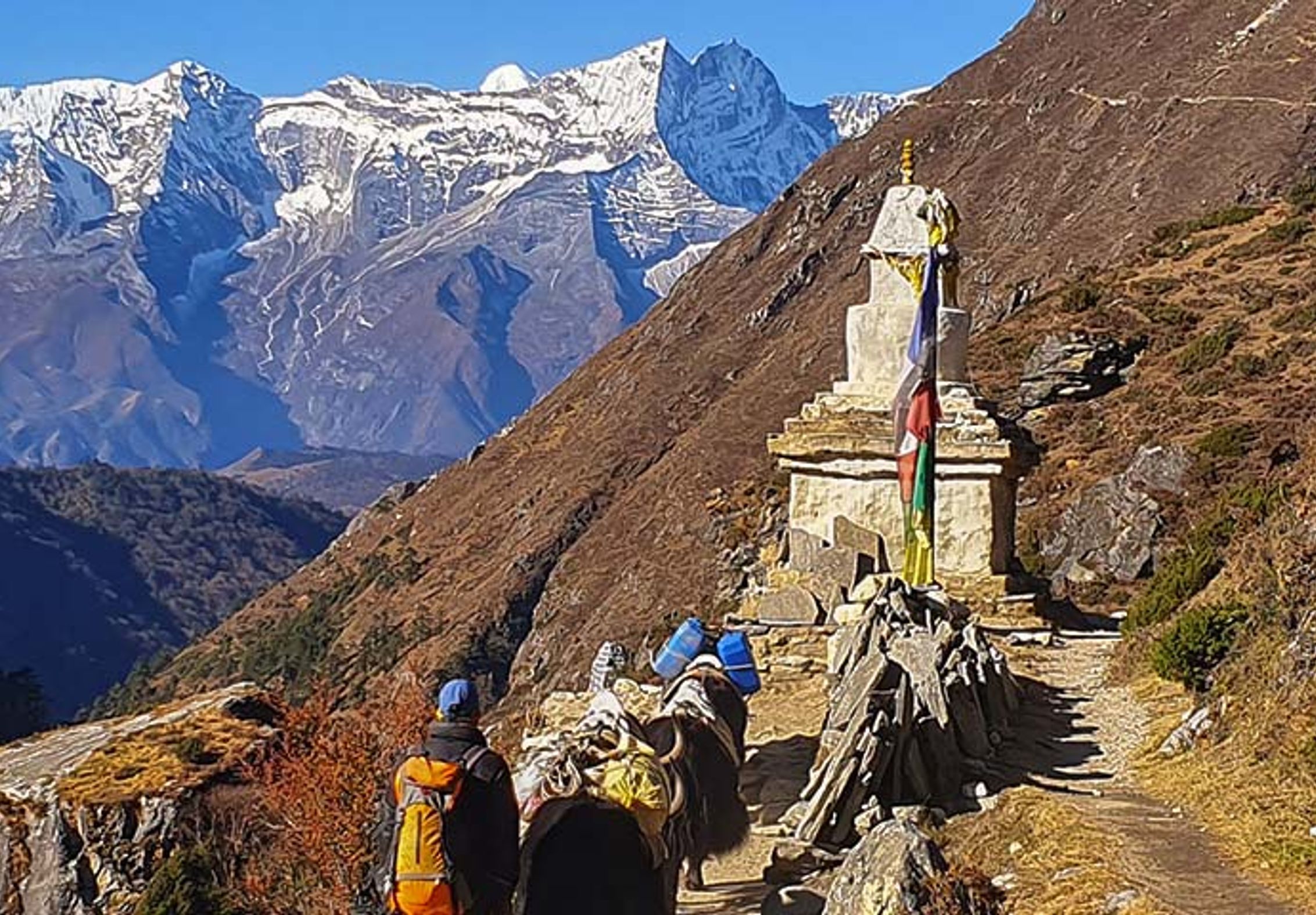 Annapurna and Everest Luxury Lodges trekking tour in Nepal