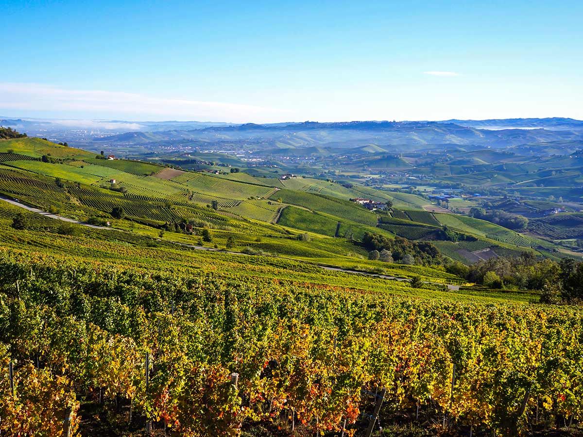 Self-guided Piedmont Barolo Hills & Bike Tour (Italy) | 10Adventures