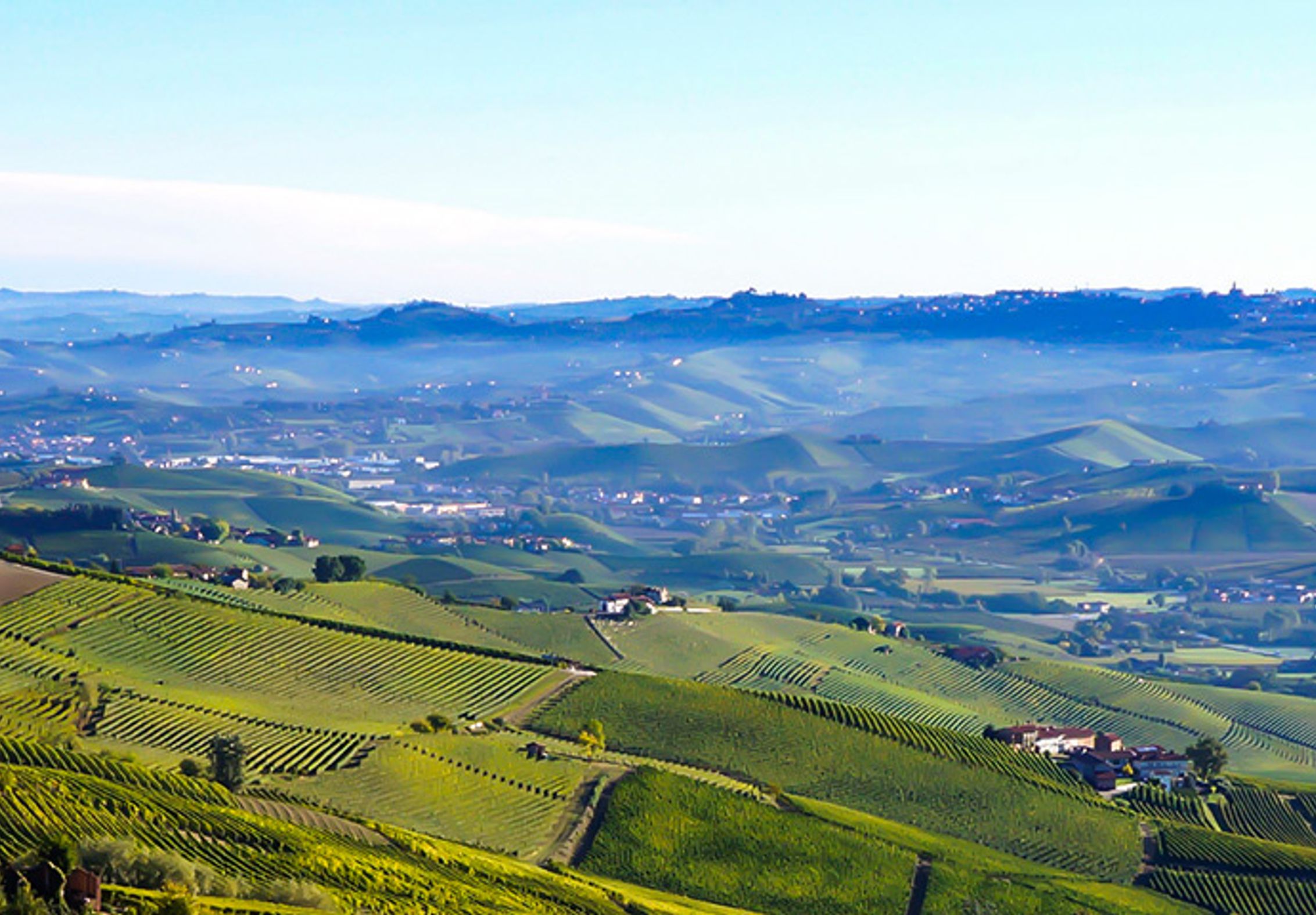 Walking & Wine Tour through Barolo and Barbera (Italy)