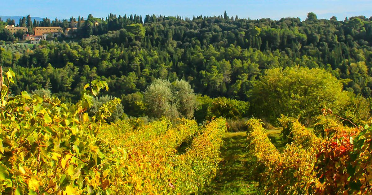 Tuscany Walking in Chianti Tour (Italy)