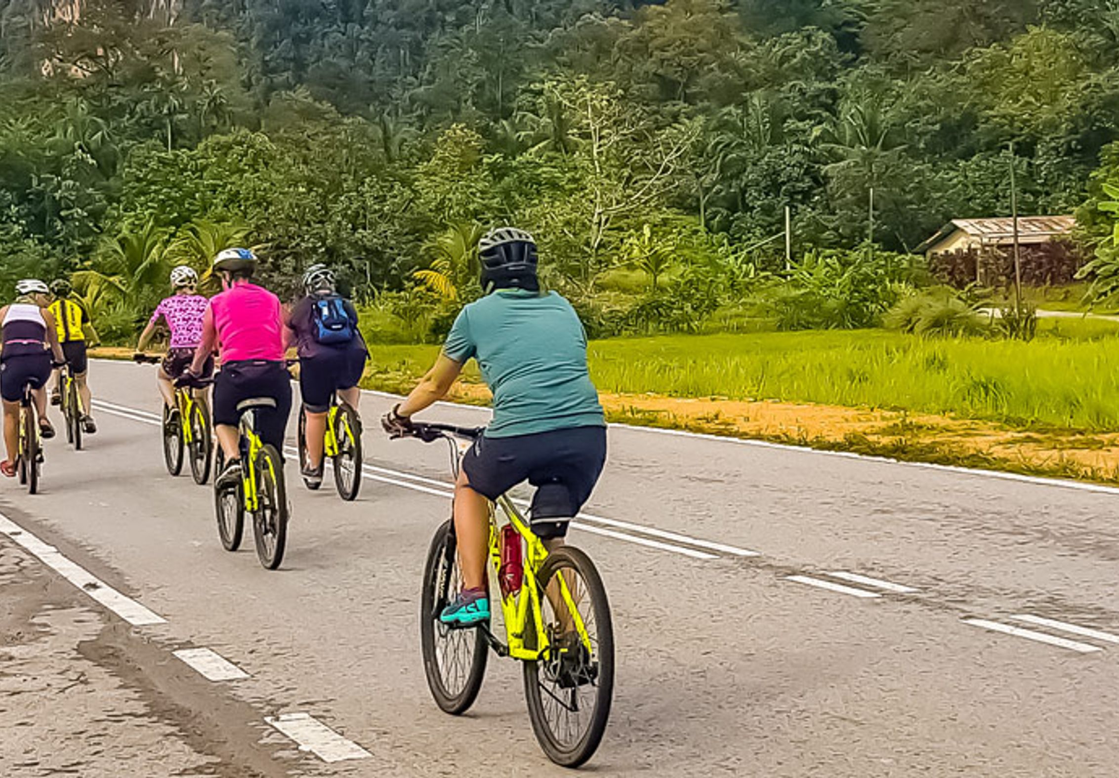 Sarawak Rainforest Bike Tour | Private, Guided Bike Tour | 2026 Pricing