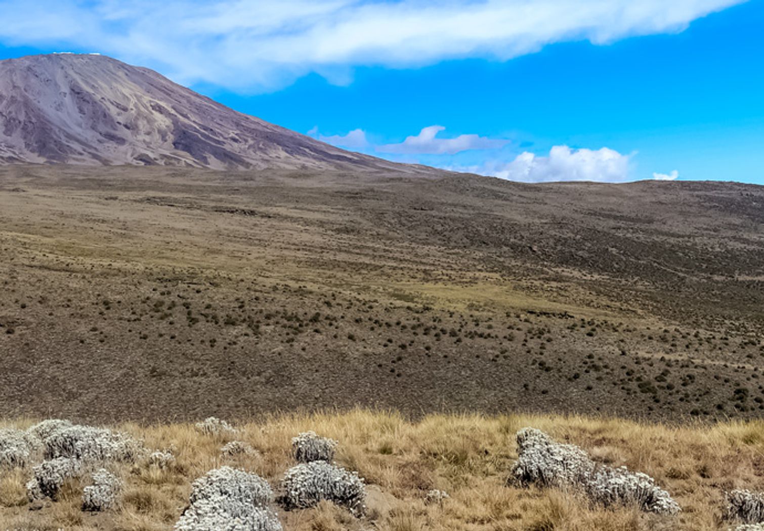 6-Day Mount Kilimanjaro Trek on Rongai Route -10Adventures