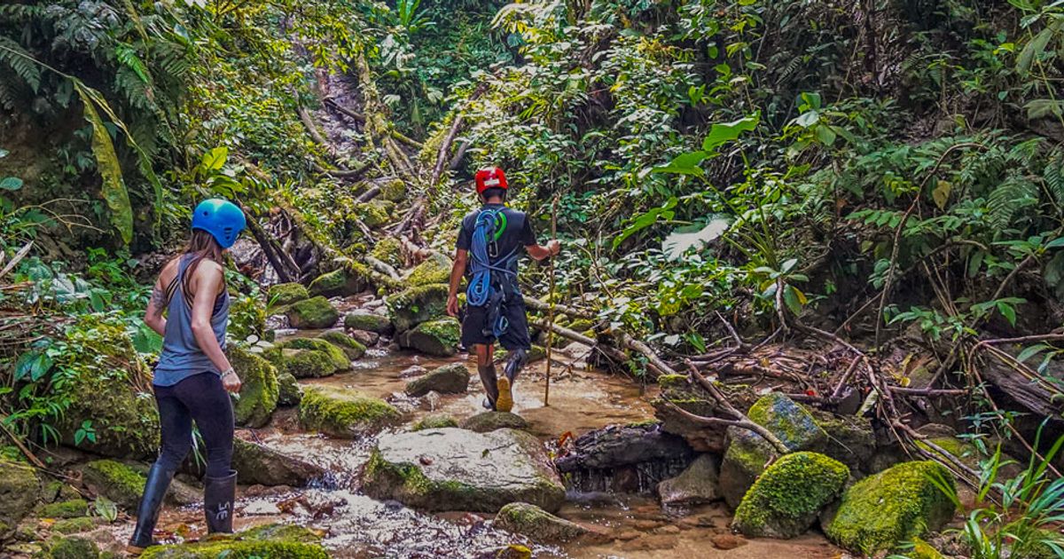 8-Day Ecuadorian Andes and Amazon Adventure | 2026 Prices