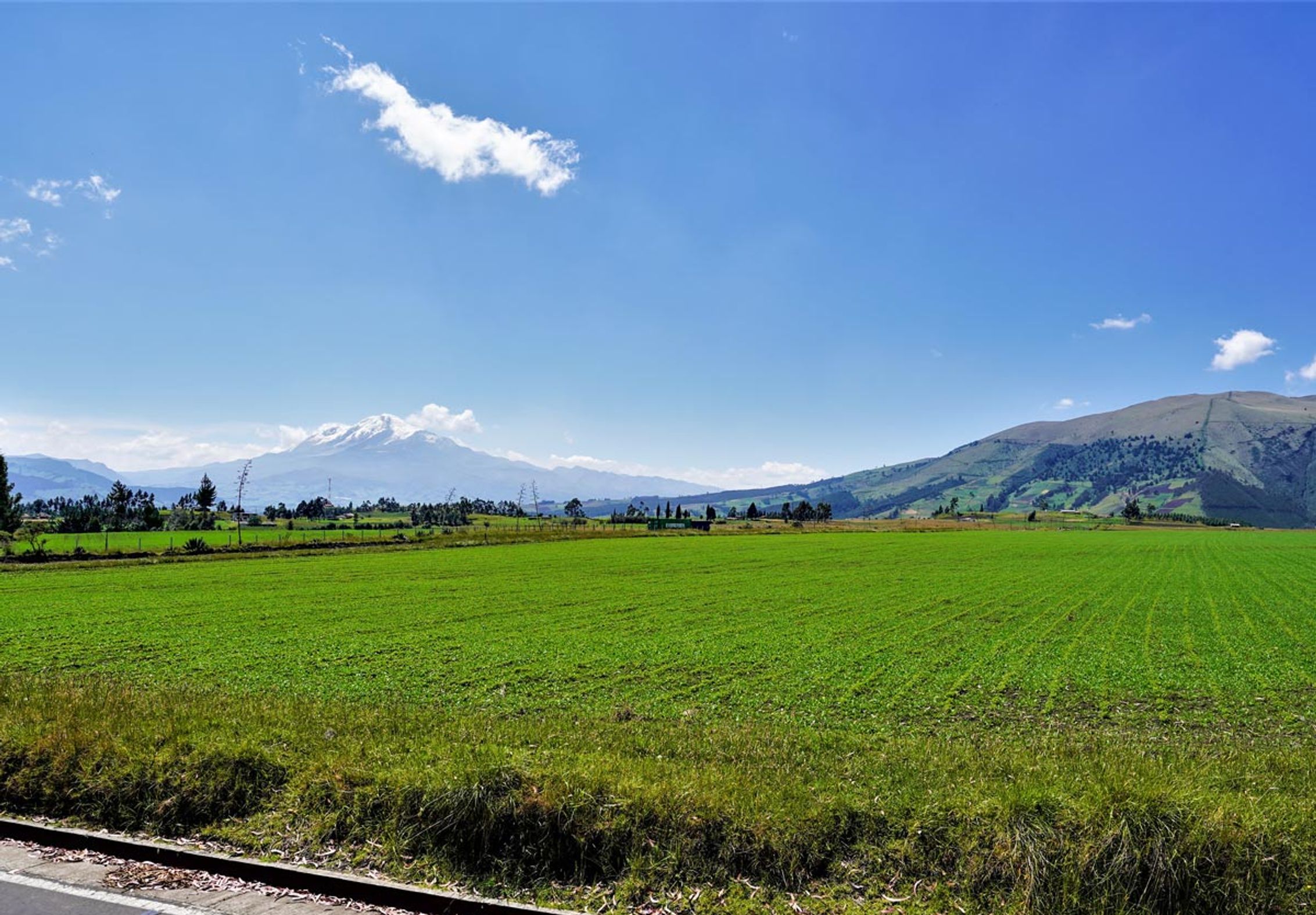 8-day Biking Ecuador’s Volcanoes