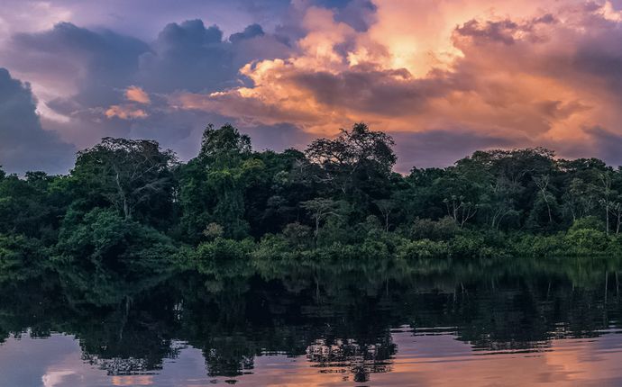 10-Day Peruvian Amazon Birdwatching Tour - 10Adventures
