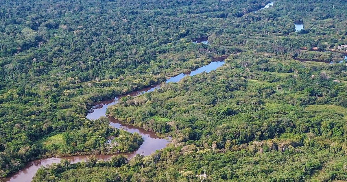 Amazon River Fishing Tour - Best Fishing in Peru