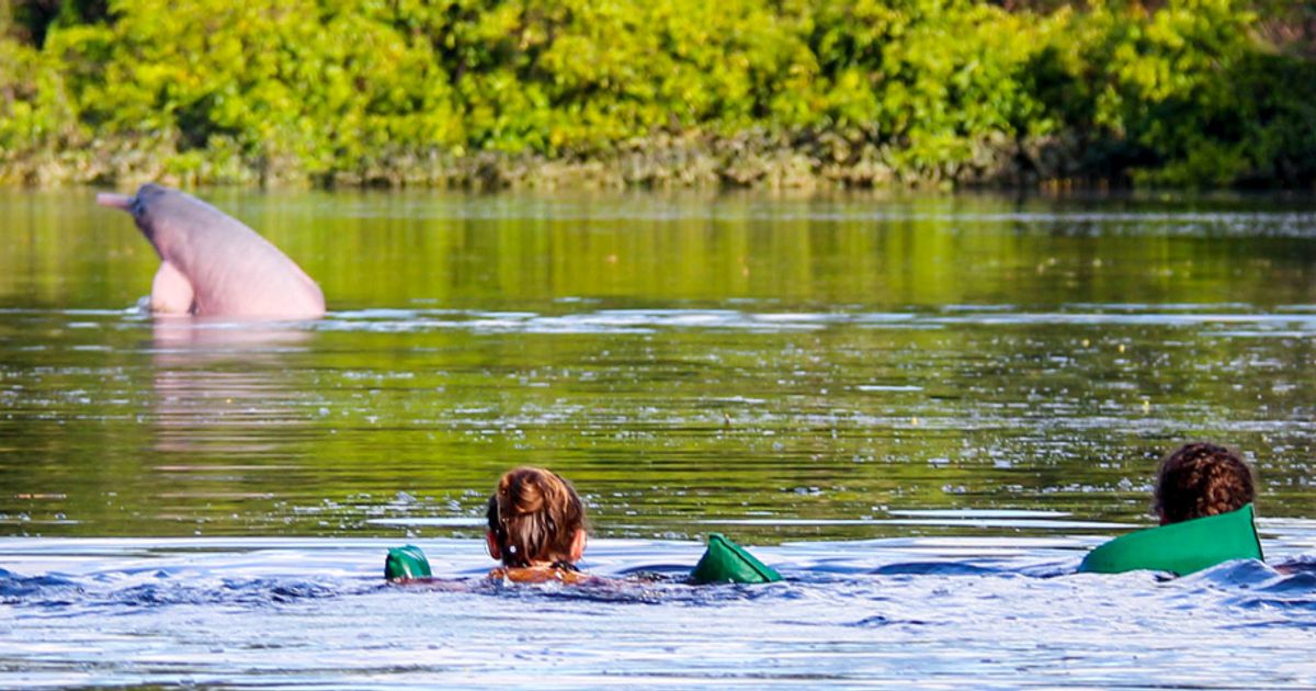 4-Day Amazon Rainforest Adventure in Peru