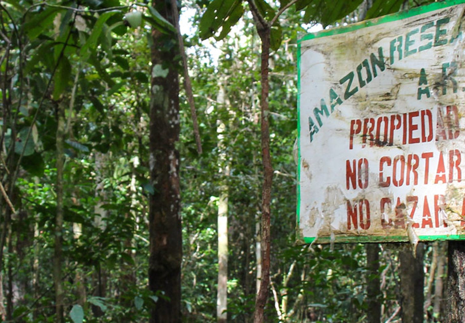 Wildlife of the Peruvian Amazon Expedition