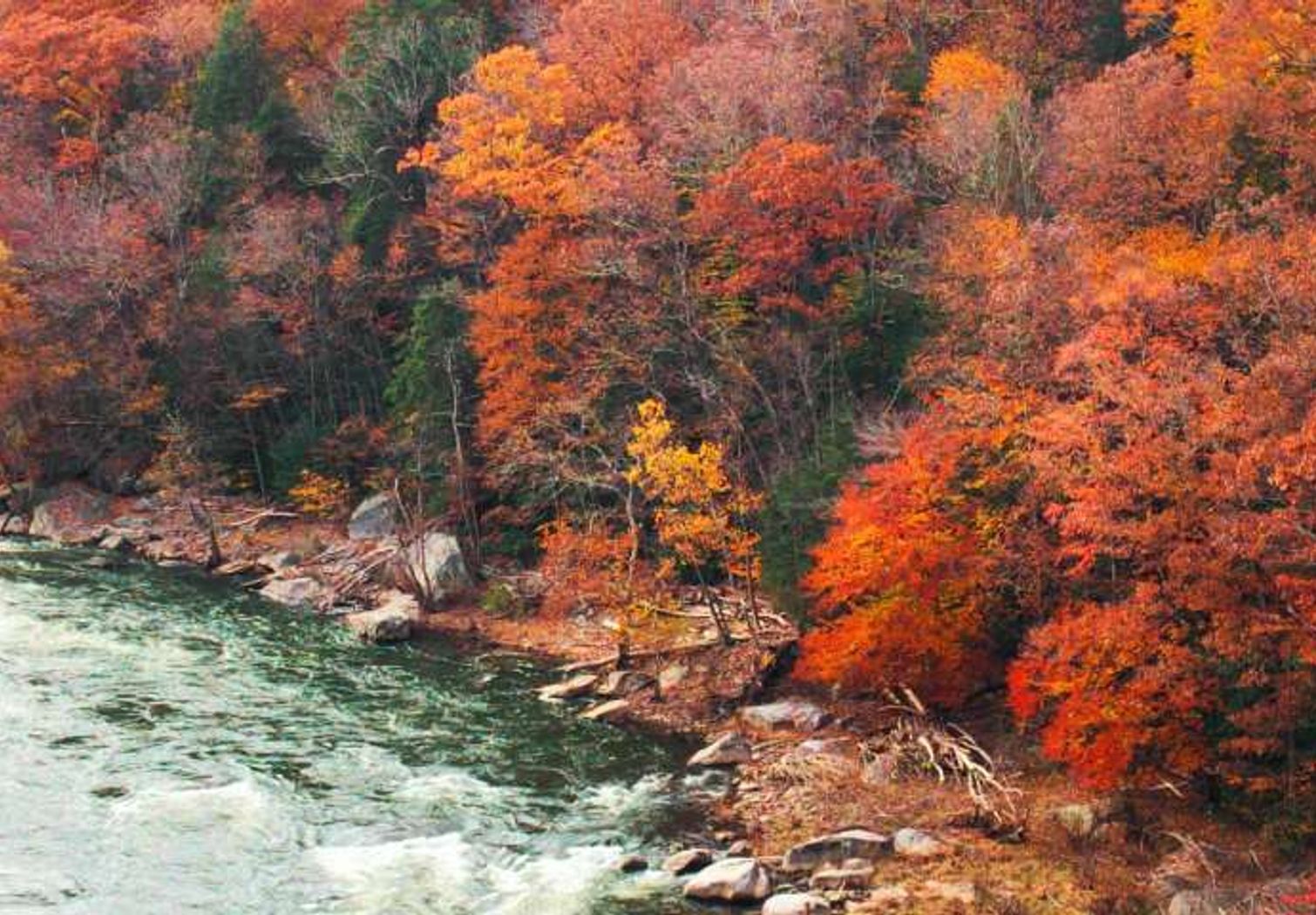 Bike the Great Allegheny Passage and C&O Canal- 10Adventures
