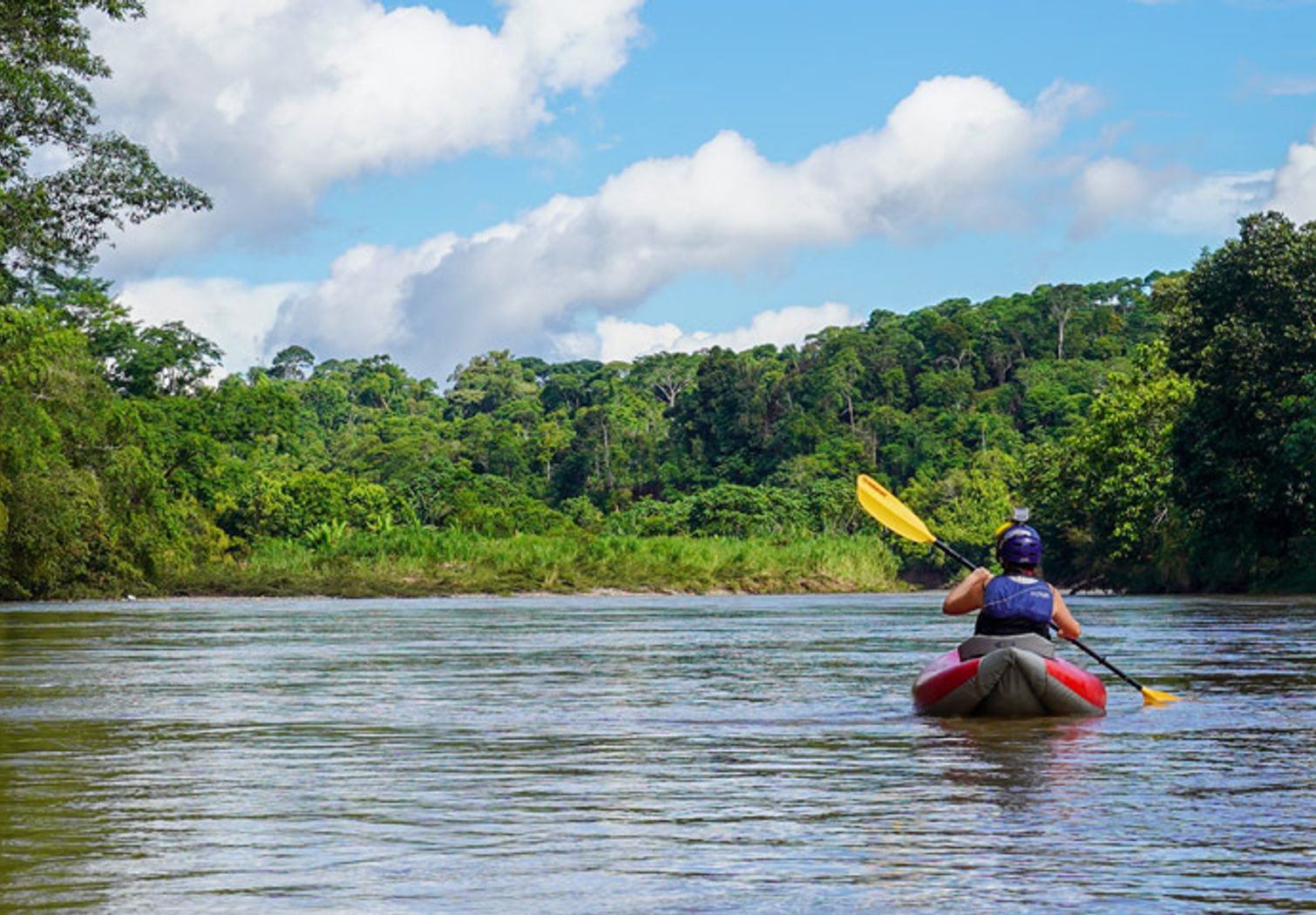 Galapagos and Amazon Family Adventure | Fully Guided Tour in Ecuador