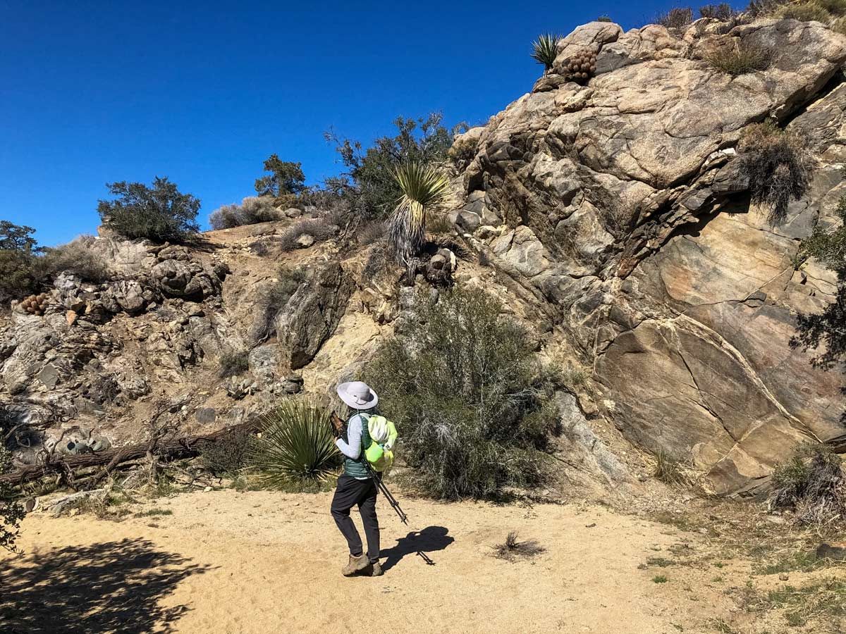 Joshua Tree National Park Guided Hiking Tour | 10Adventures