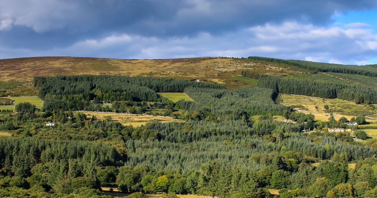 5-Day Wicklow Way Hike | Ireland Self Guided Walking Tour