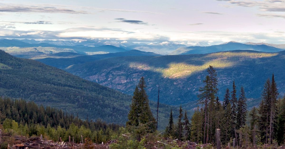 9-Day Guided Interior British Columbia Hiking Adventure | 10Adventures