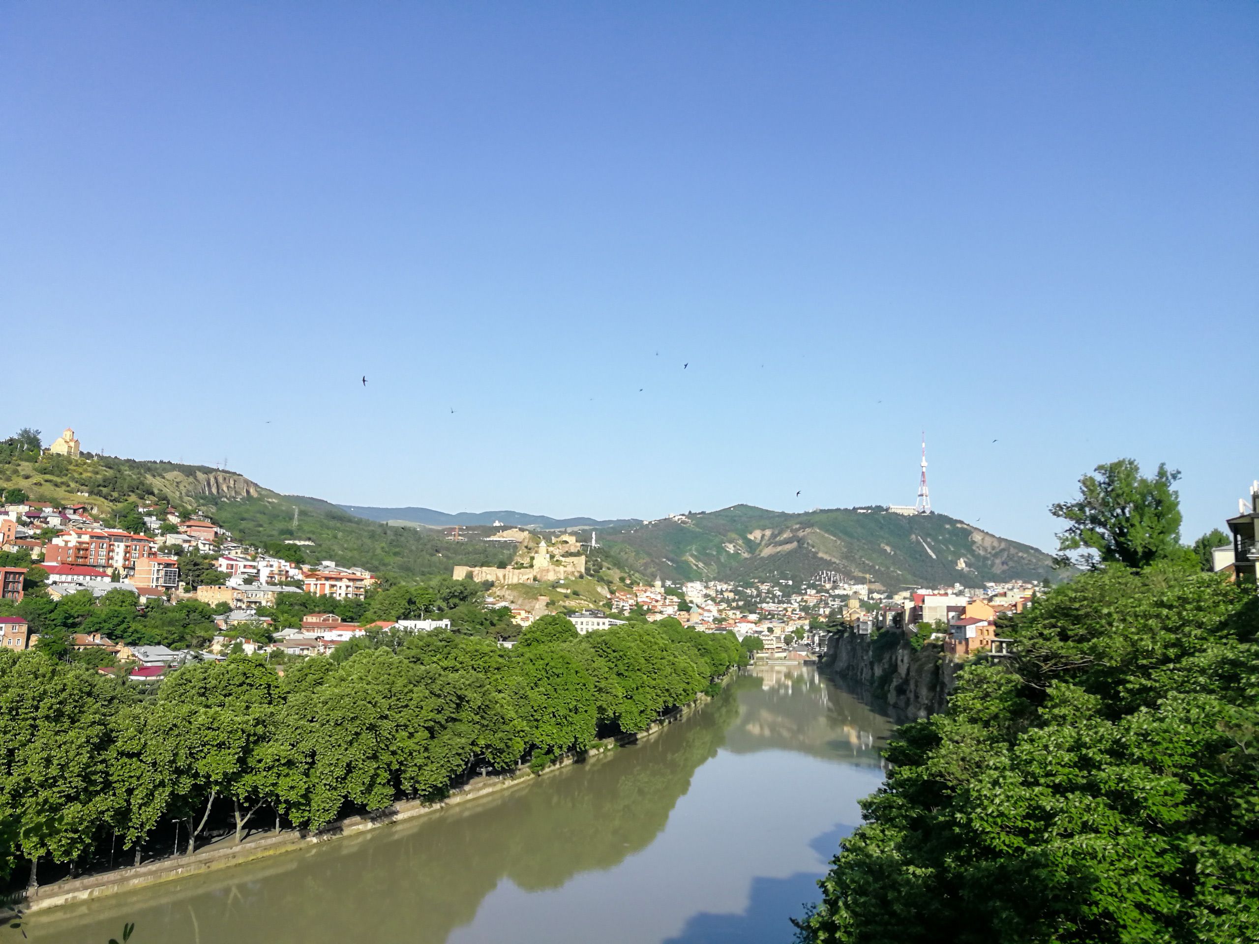 Georgia: Tbilisi to the Black Sea Tour | 10Adventures