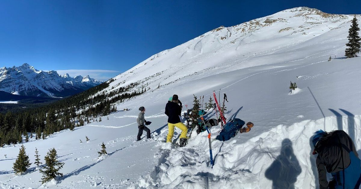 Avalanche Skills Training 1 in the Canadian Rockies | 10Adventures