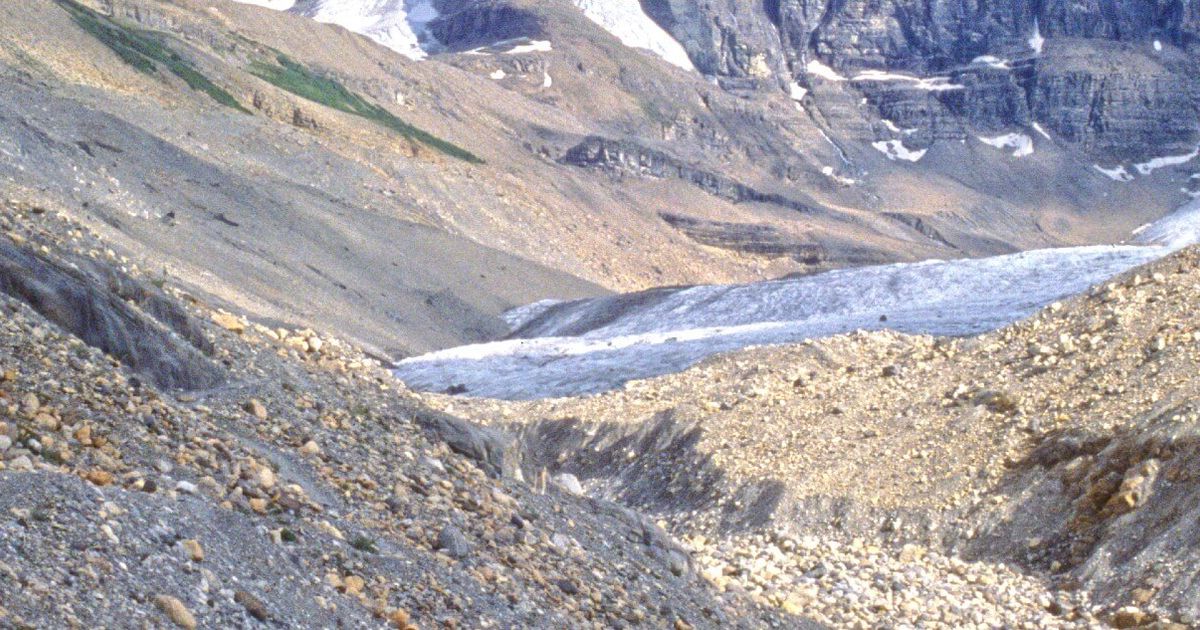 Guided Hiking Adventure in Mount Robson Provincial Park | 10Adventures