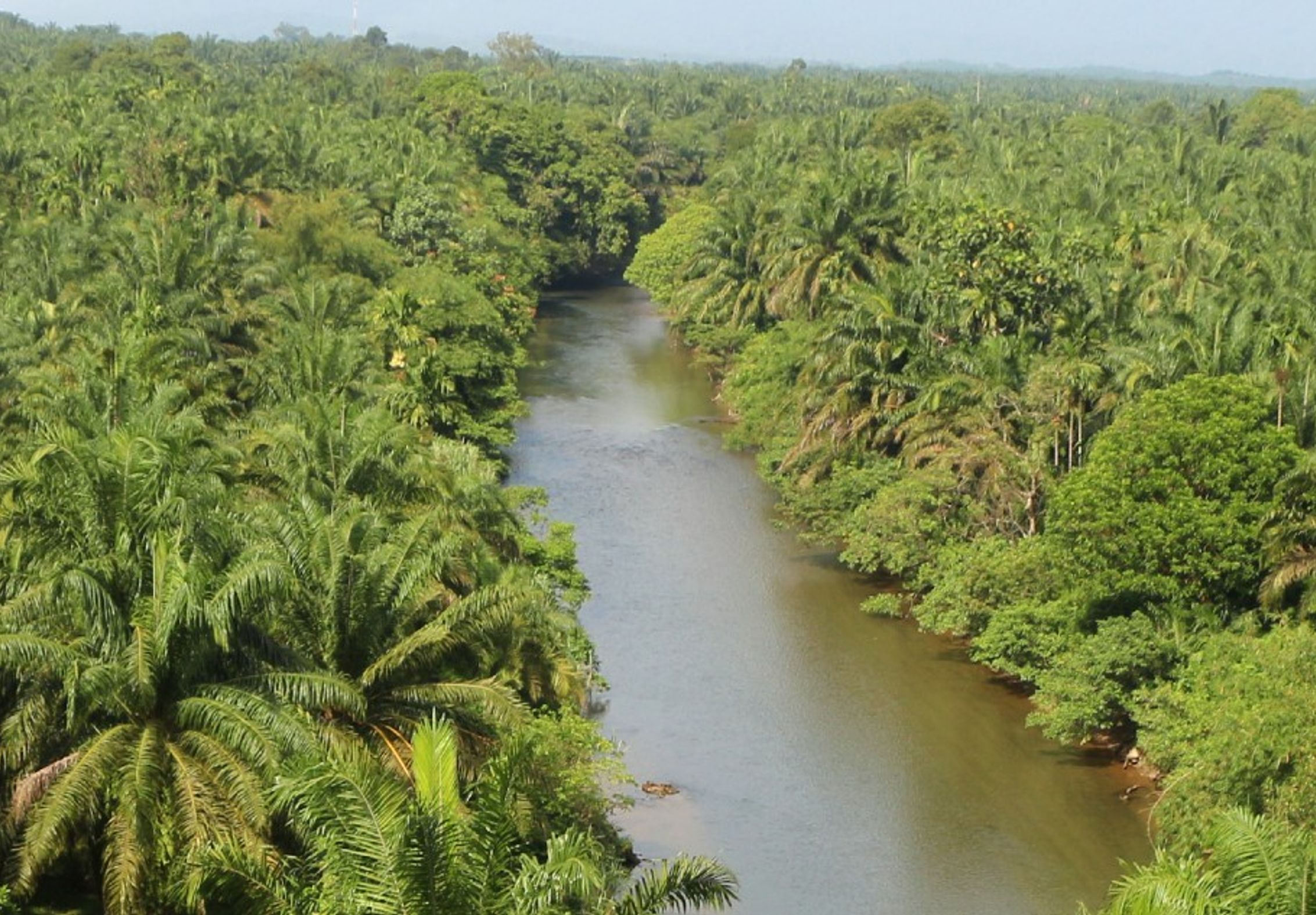 Jungle and Beaches of Northern Sumatra | Sumatra, Indonesia