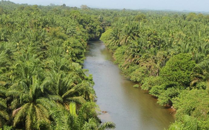 Jungle and Beaches of Northern Sumatra Tour | Indonesia | 2026 Pricing