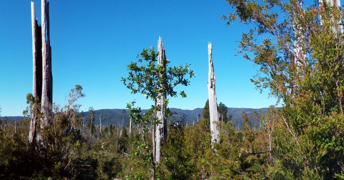 Chile Lake District Hiking Tour in the Chilean Andes | 10Adventures