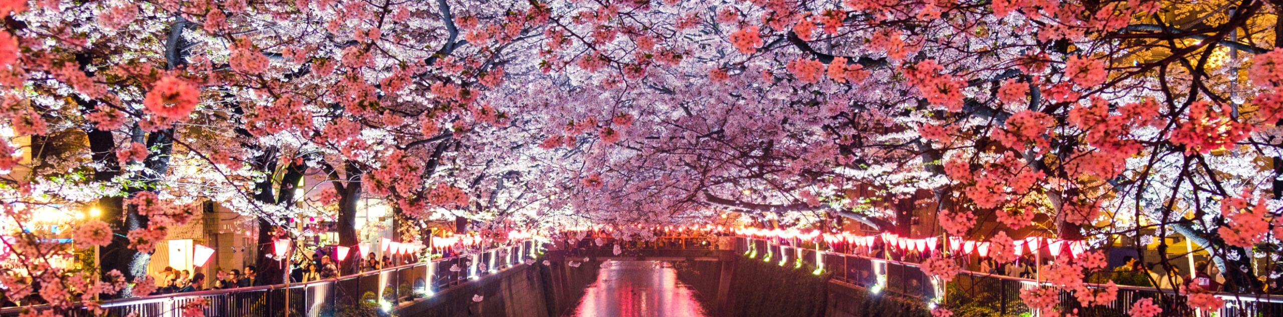 Japan Adventure Tours | 10Adventures