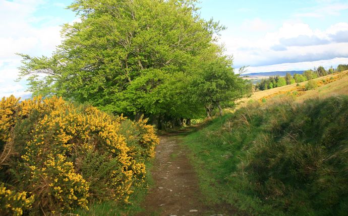 John Muir Way Walking Tour, Scotland | 10Adventures