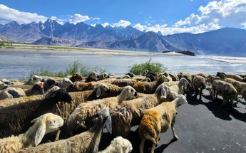 10-Day Trek in Pakistan’s Nangma Valley| 10Adventures