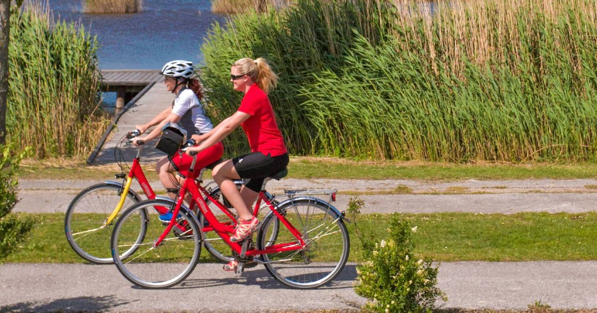 Experience Austria on the Lake Neusiedl Bike Tour