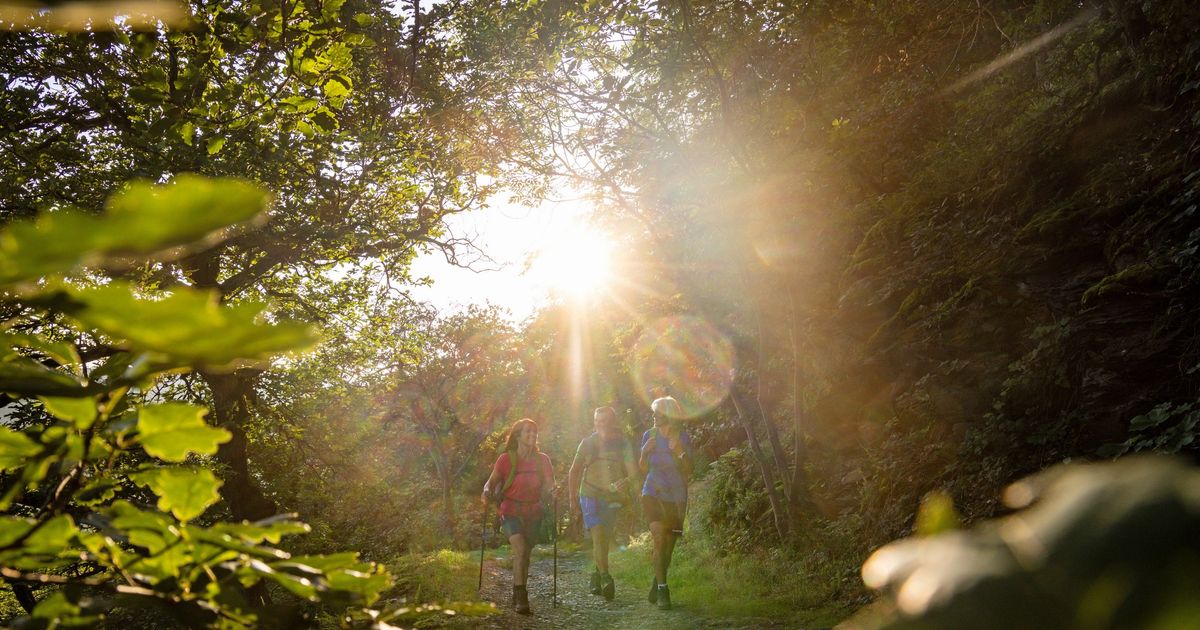 Magical Spessart Walking Tour