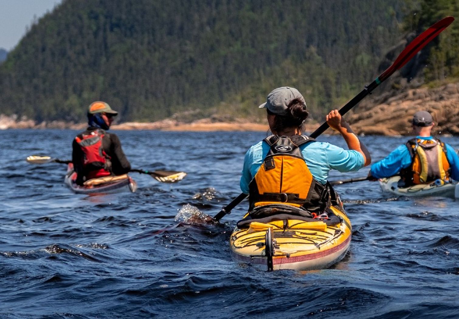 Saguenay Fjord Beginner Sea Kayaking Tour - Explore Quebec