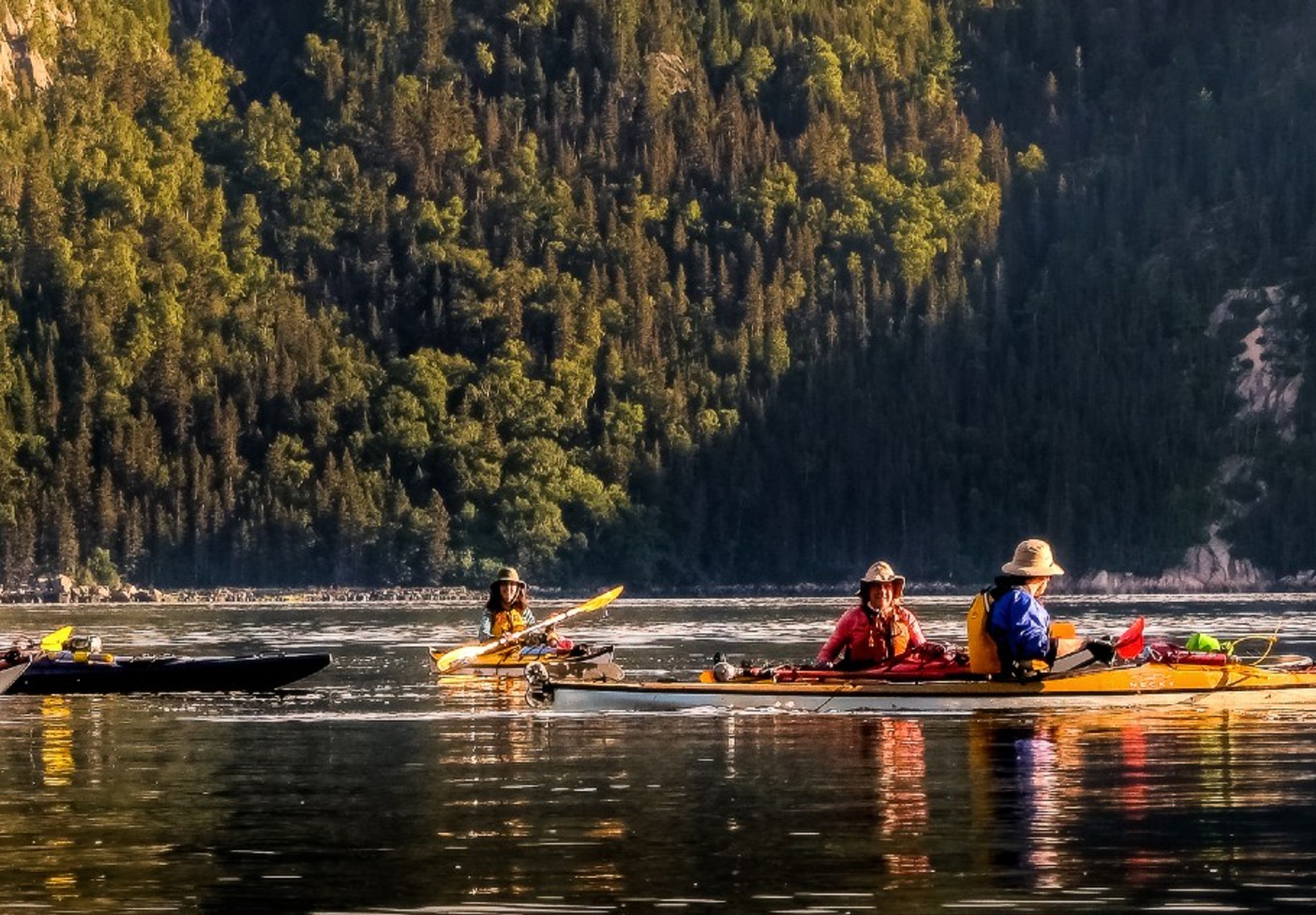 Wild Saguenay Fjord Sea Kayaking Tour, Quebec | 2026 Dates & Prices