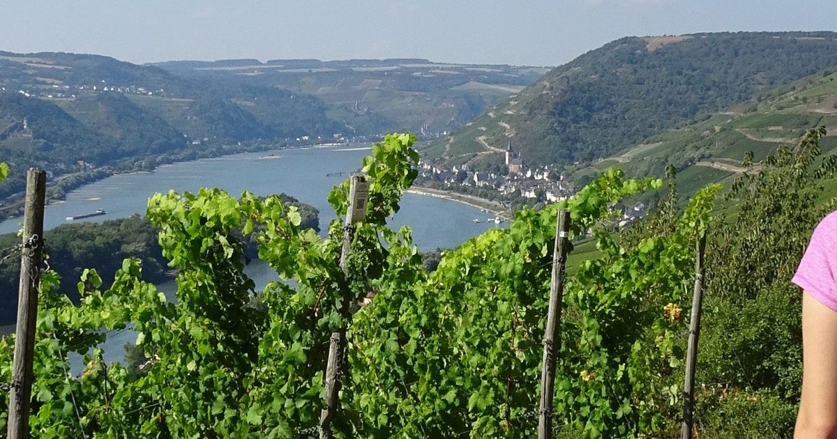 Rhine from Rüdesheim to Koblenz Tour | Germany | 10Adventures