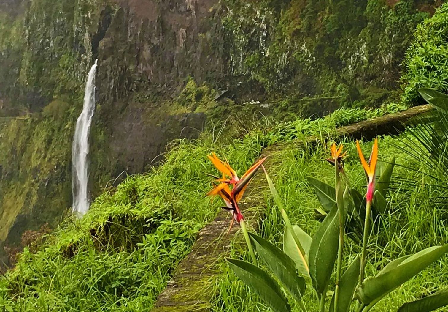 Madeira Circular Hiking Tour