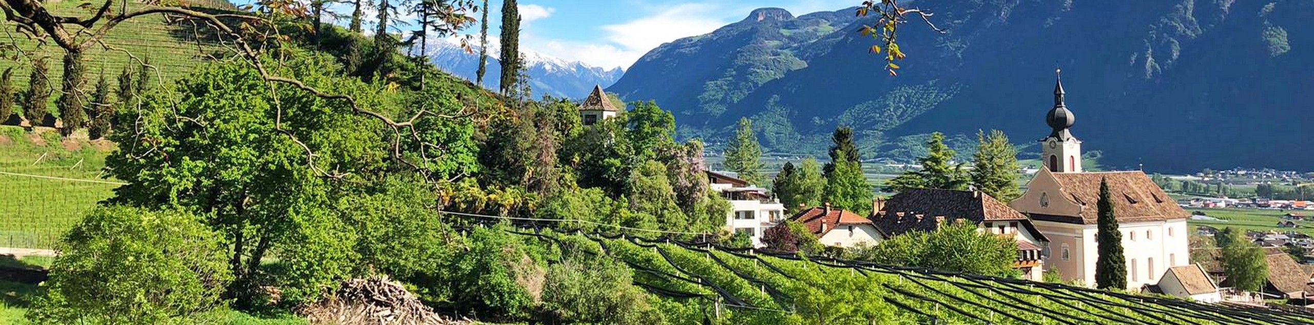 South Tyrolean Wine and Alpine Pasture Tour | 10Adventures