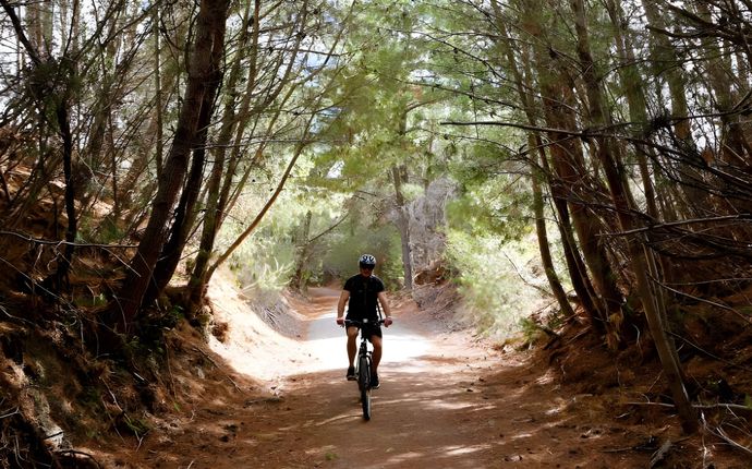 Riesling Rail Trail Cycling Tour | 10Adventures