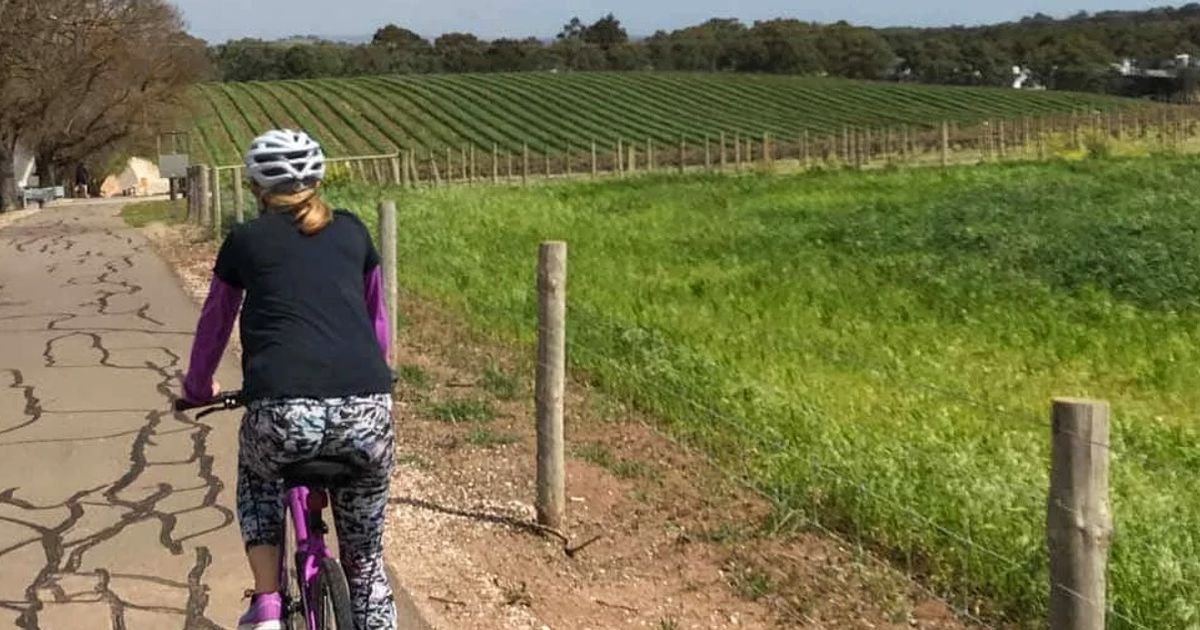 Barossa and Clare Valley Cycling Tour