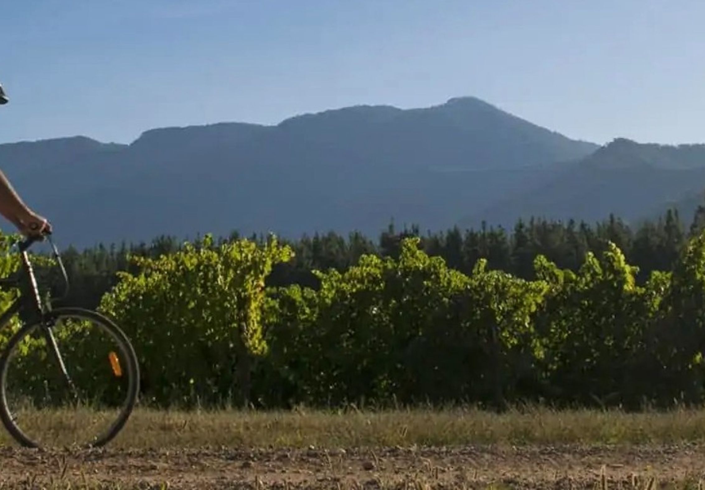 Northeast Victoria Self-Guided Cycling Tour | 2026 Dates & Prices