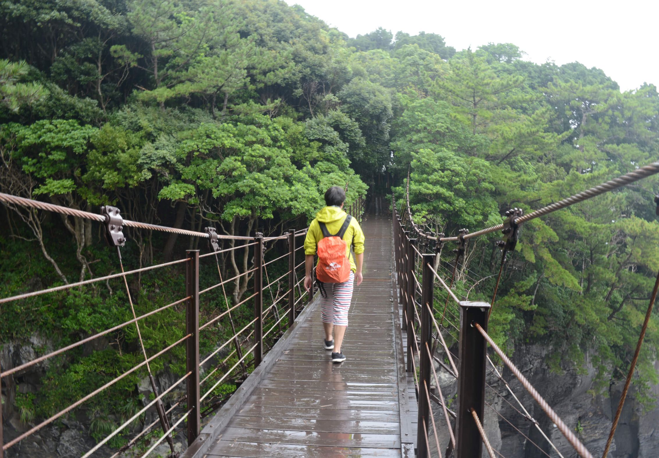 Hakone Hiking Tour (Japan)